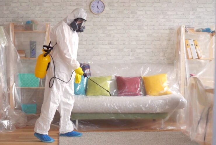 6 Most Poisonous Pests Found in Chicago - Hidden Dangers